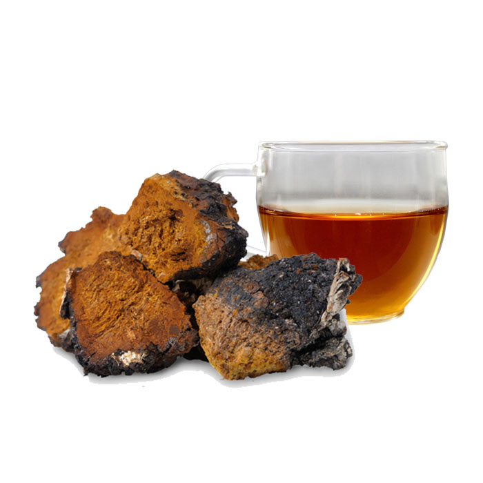 Chaga te, norsk,viltvoksende 50